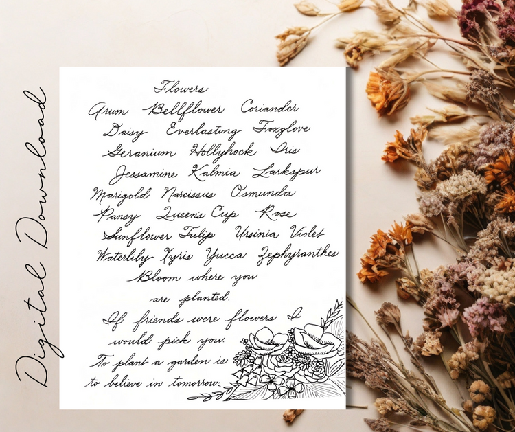 The Timeless Elegance of Cursive Writing: Practicing with a Floral A-Z ...